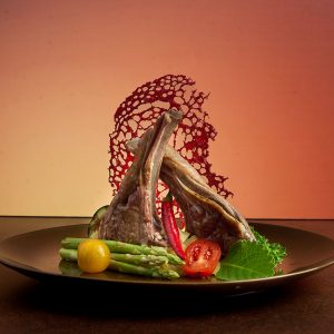 Akij Tableware Art of Plating